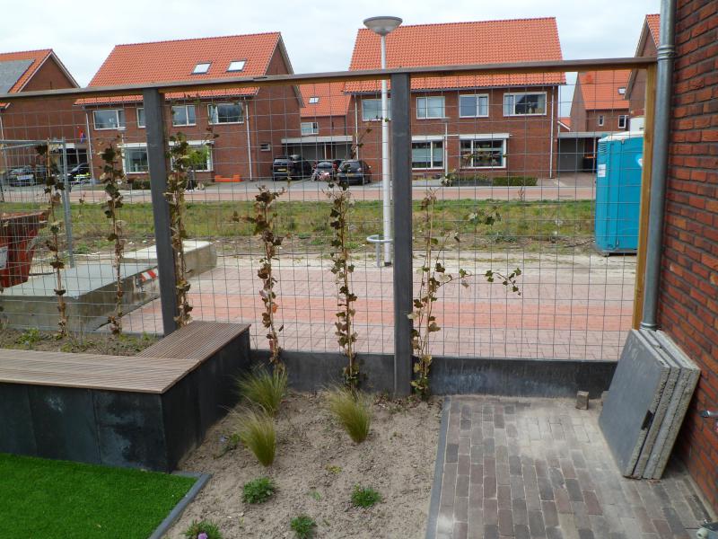 Groene erfafscheidingen - Loohuis Schuttingen