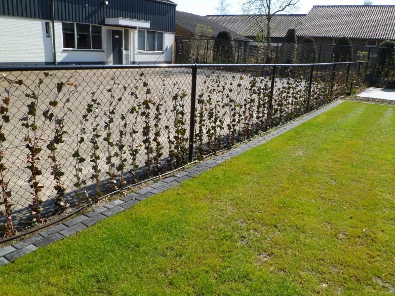 Groene erfafscheidingen - Loohuis Schuttingen