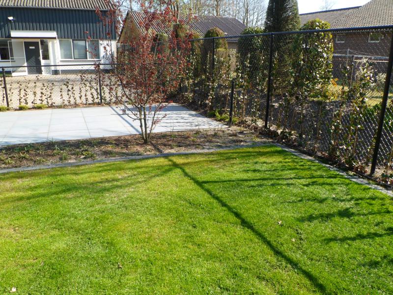 Groene erfafscheidingen - Loohuis Schuttingen