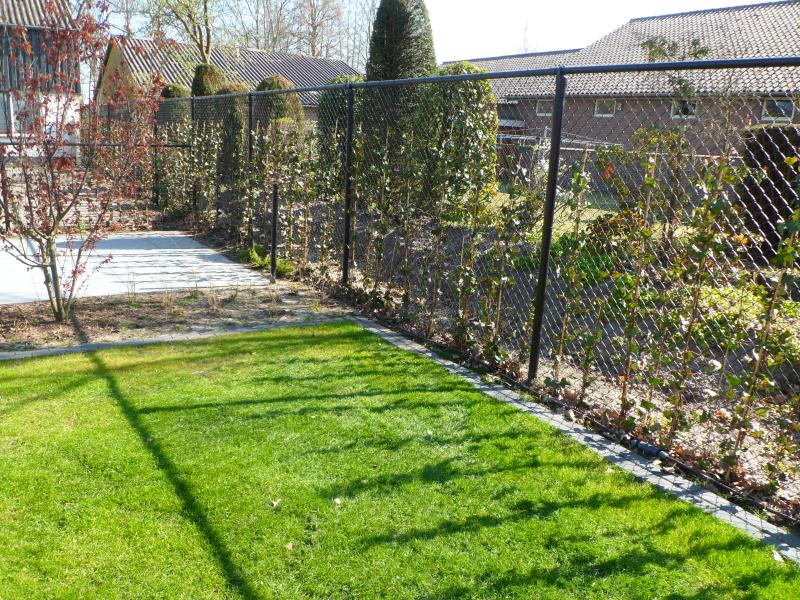 Groene erfafscheidingen - Loohuis Schuttingen